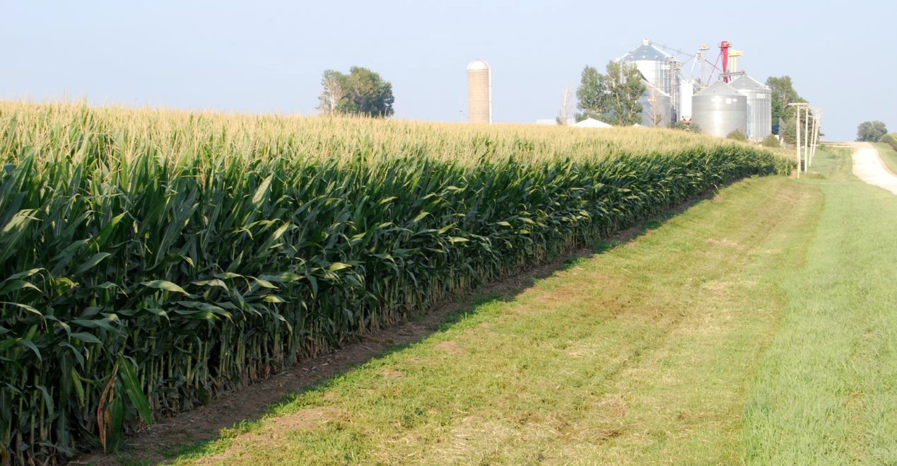 Iowa crop 2 weeks behind normal