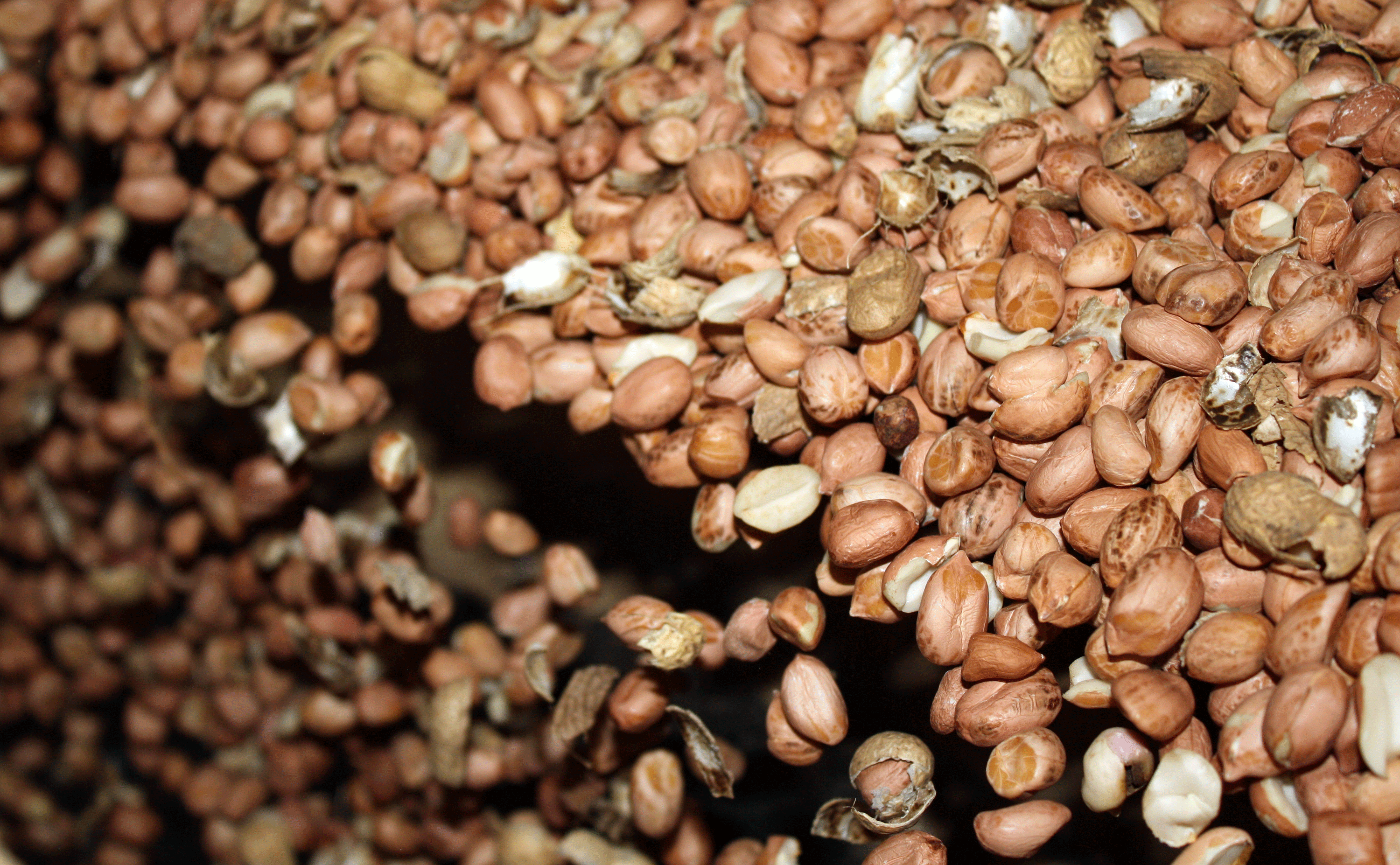 Olam buys Alabama’s largest peanut sheller continues SE expansion