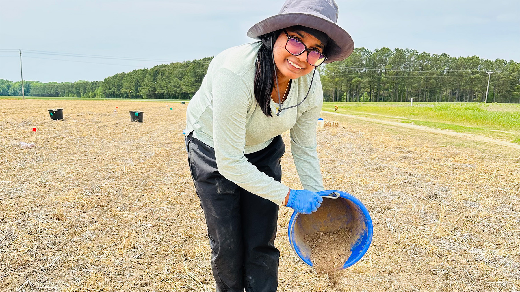 Finding optimal rates for chicken litter and yields
