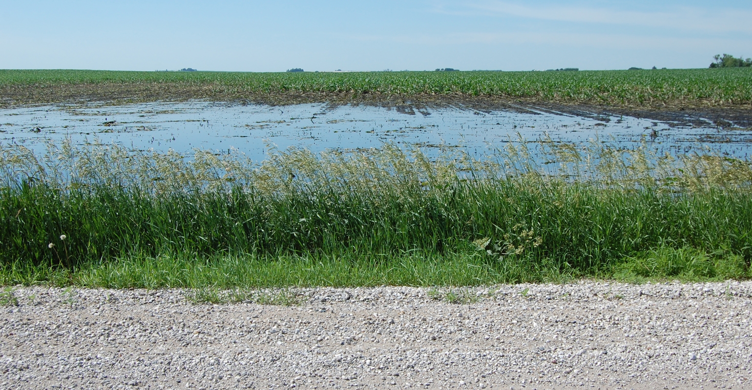 Farming prairie potholes (and other wet areas)