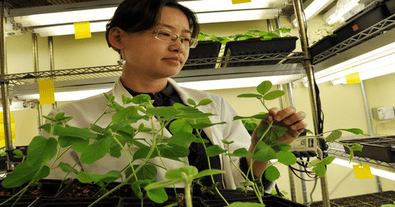 Breakthrough offers clue on how plants fight disease | Farm Progress
