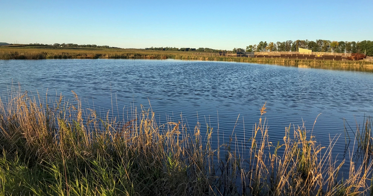 Check containment ponds daily to avoid overflow