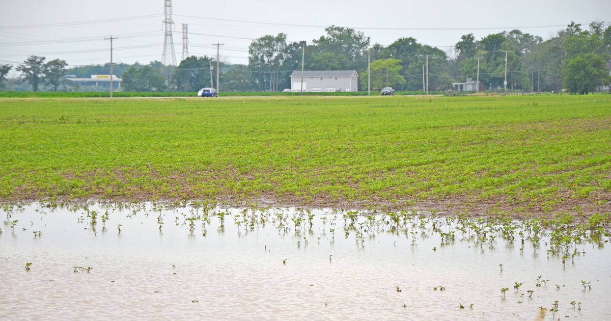 Michigan farmers in 79 counties eligible for USDA disaster assistance