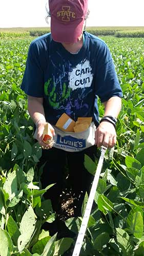 What you need to know about broadcasting cover crops