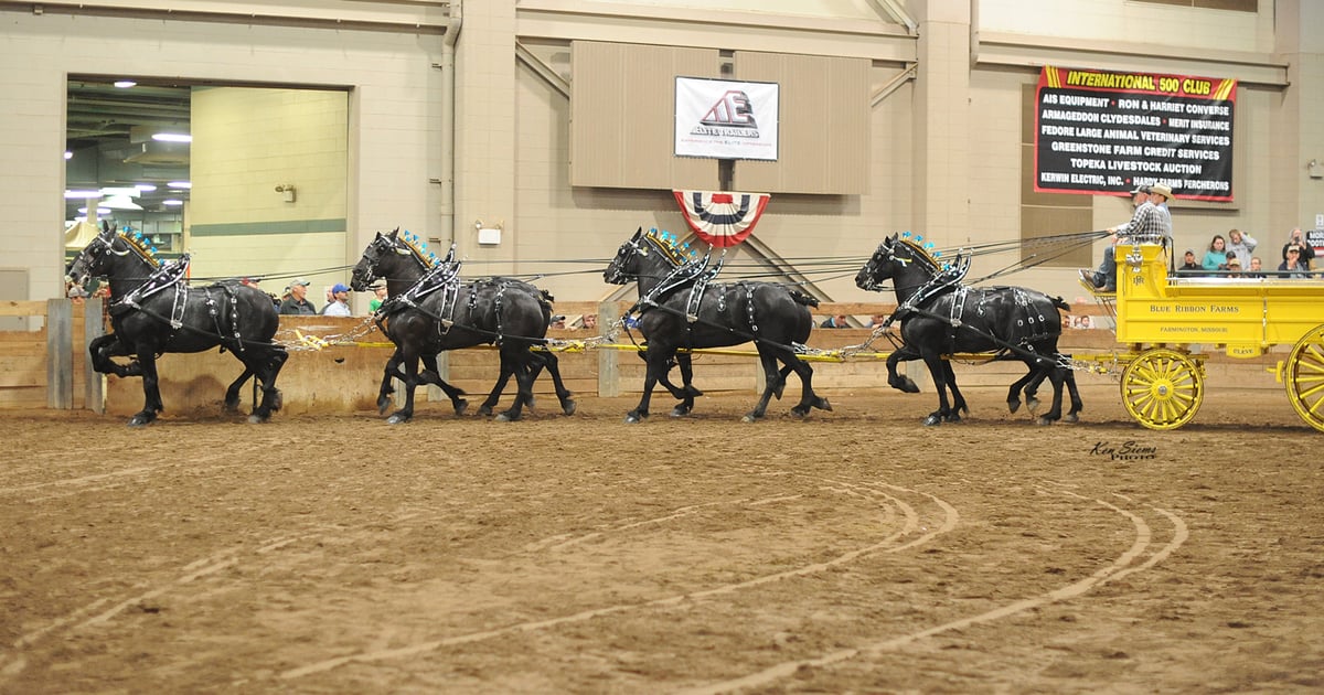 MSU livestock pavilion expansion moves forward