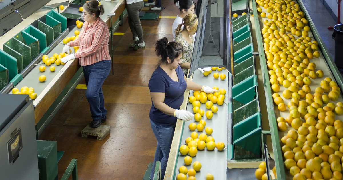 Citrus industry finds success in collaboration
