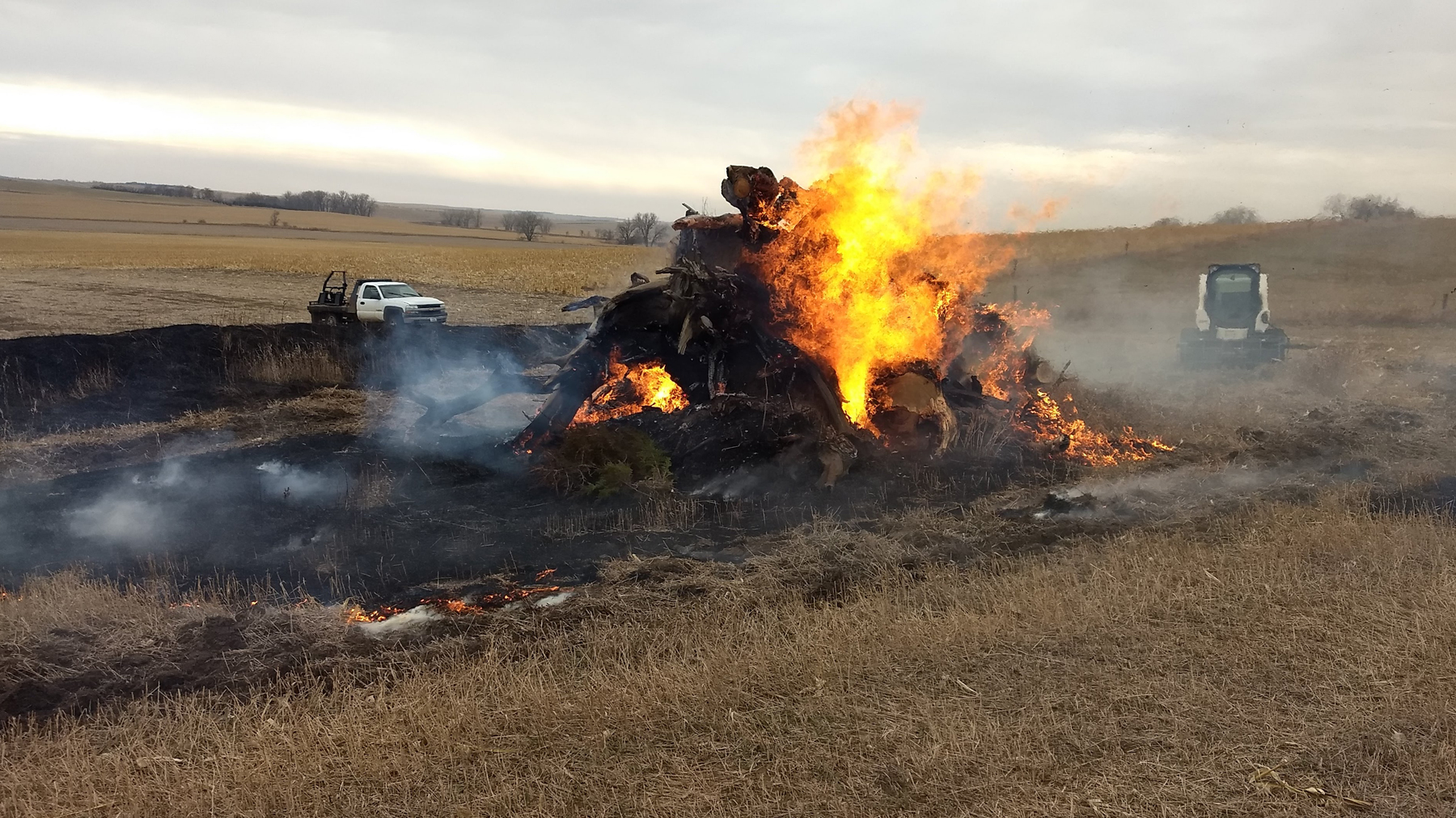 Quick tips for burning slash piles of branches