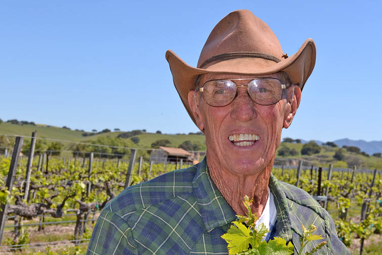 Dago Red wine a story of American success