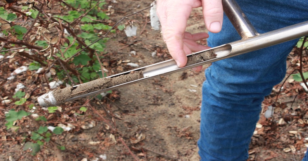 Tips for assessing microbiology