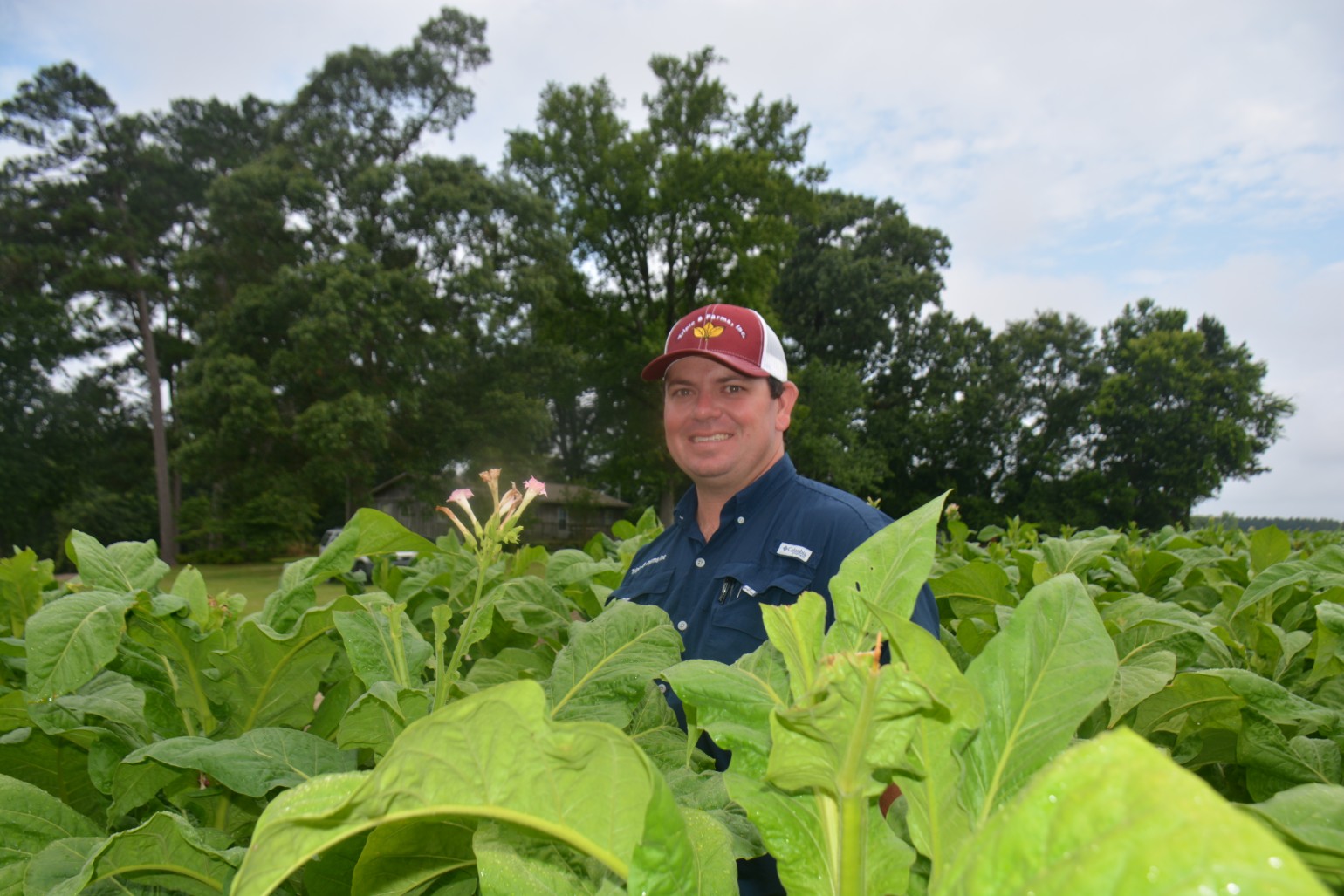 Batten family turns to innovation in tough farm economy