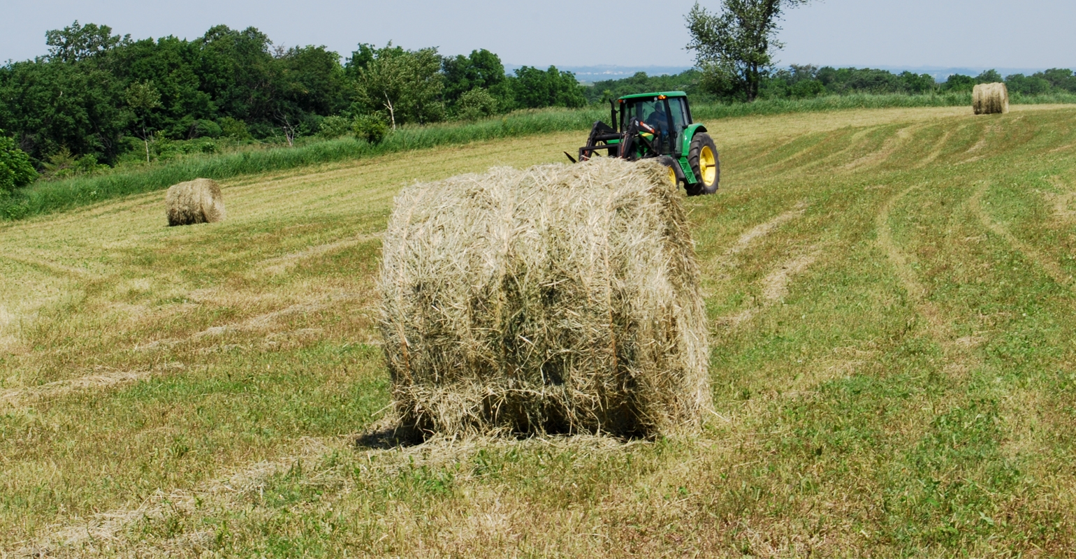 FSA explains rules for haying, grazing CRP acres