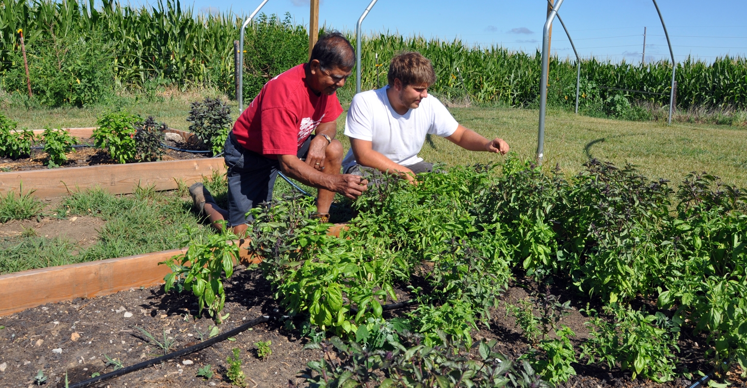 Grants to help promote specialty crops
