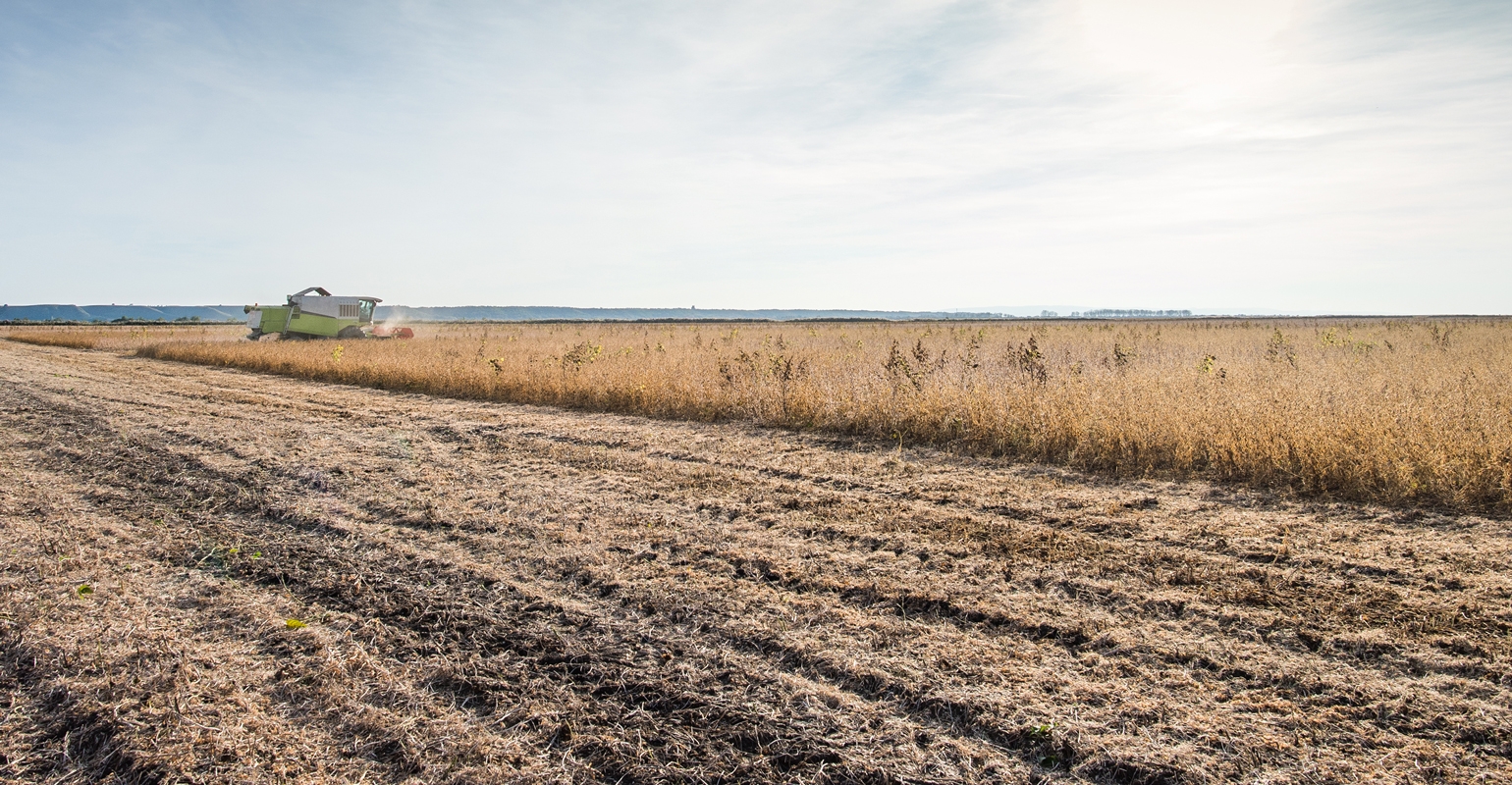 Know your SCN numbers