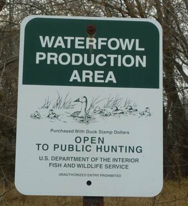 Grazing public lands — a win-win for farmers, hunters