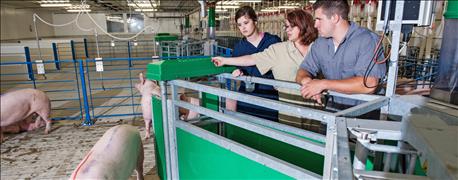 Inside the new SDSU Swine Complex