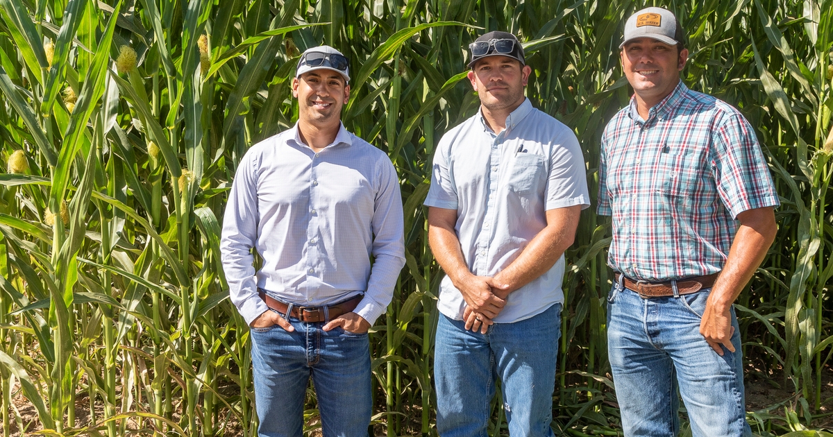 Dairy lagoon water successfully blended in subsurface drip systems