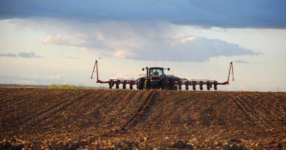 Tips for planting soybeans