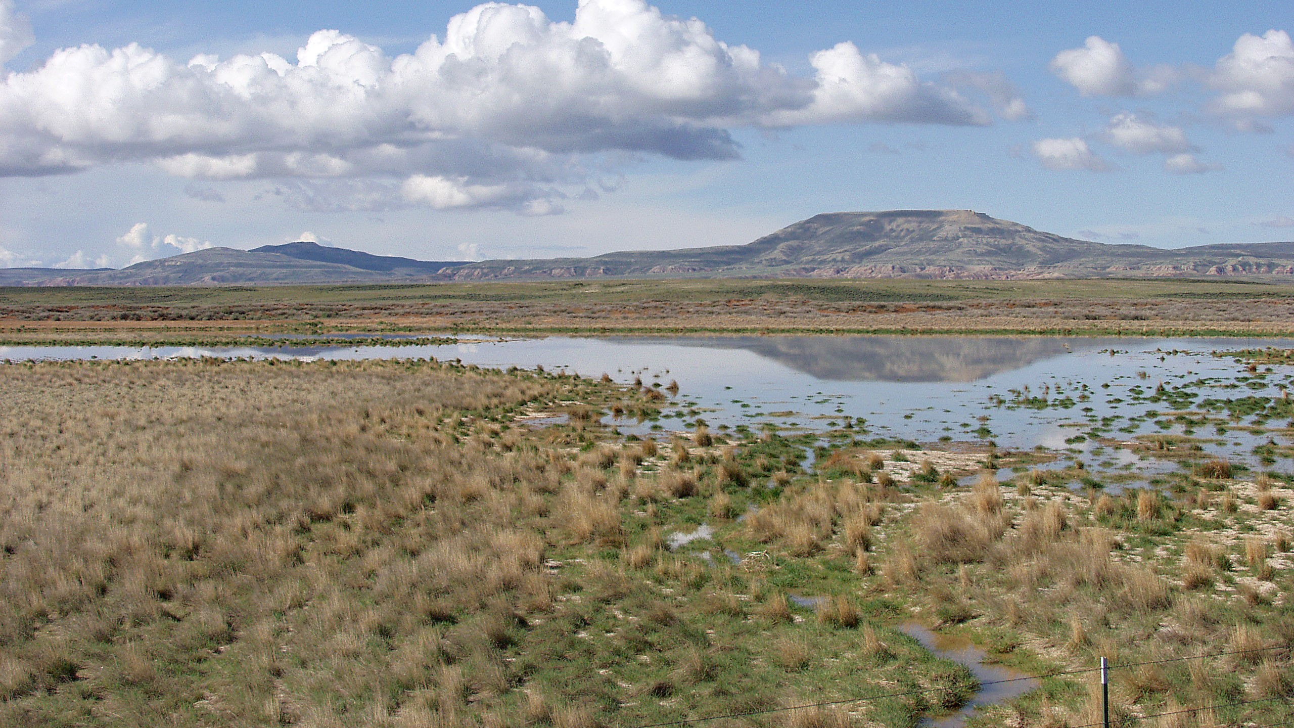 Water conservation creates ripple of savings