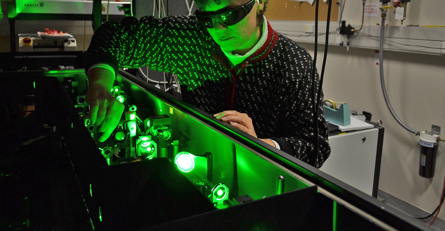 New Zealand company looks to join dairy sexed semen market