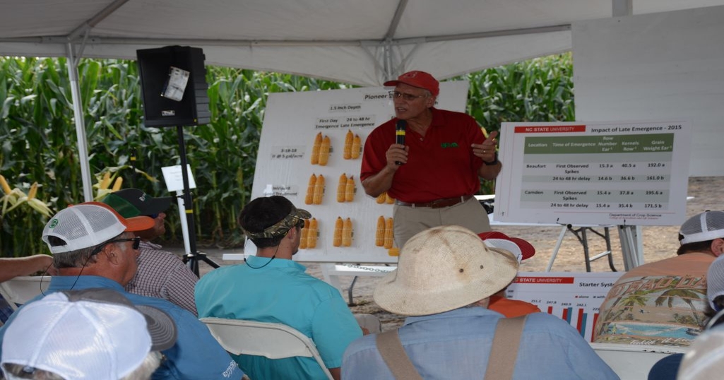 North Carolina corn farmers have never seen a crop like this