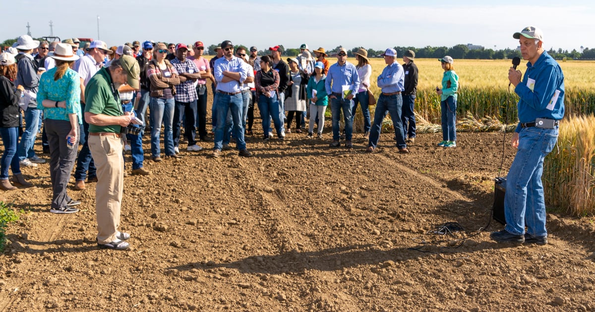 UC Davis ranks high for its agriculture, forestry programs