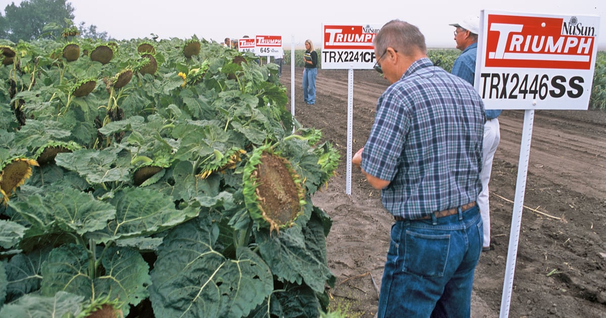 Handy tool for analyzing on-farm research