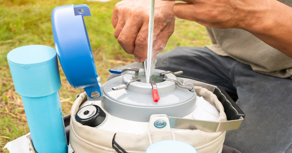 Artificial insemination: The supplies and best practices to follow