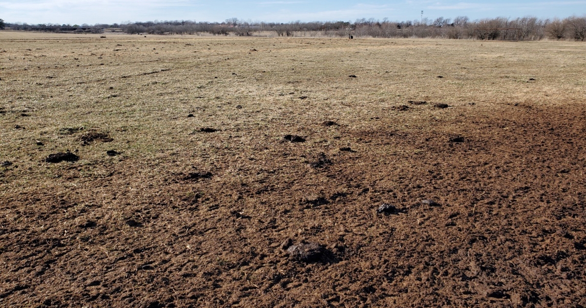 Making the most of manure in pastures