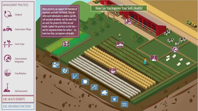 SARE infographic explores benefits of soil health