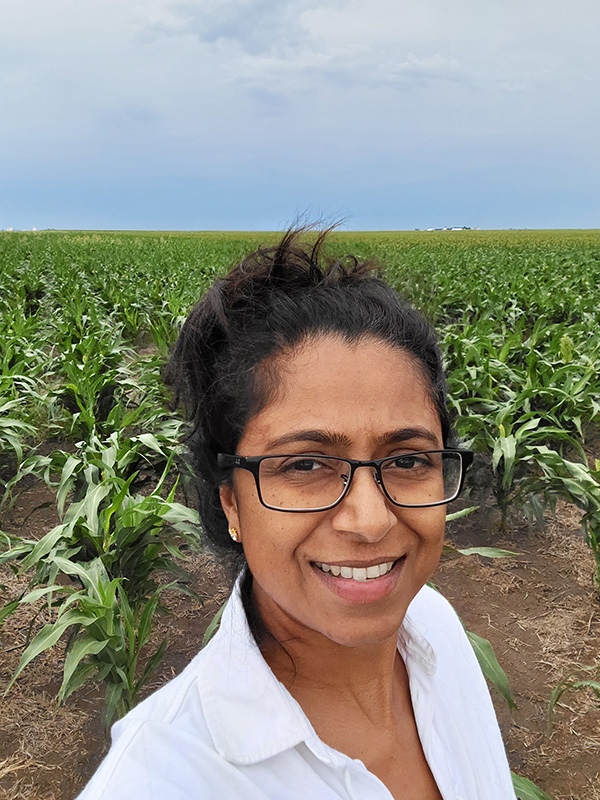 SMARTFARM offers carbon solutions