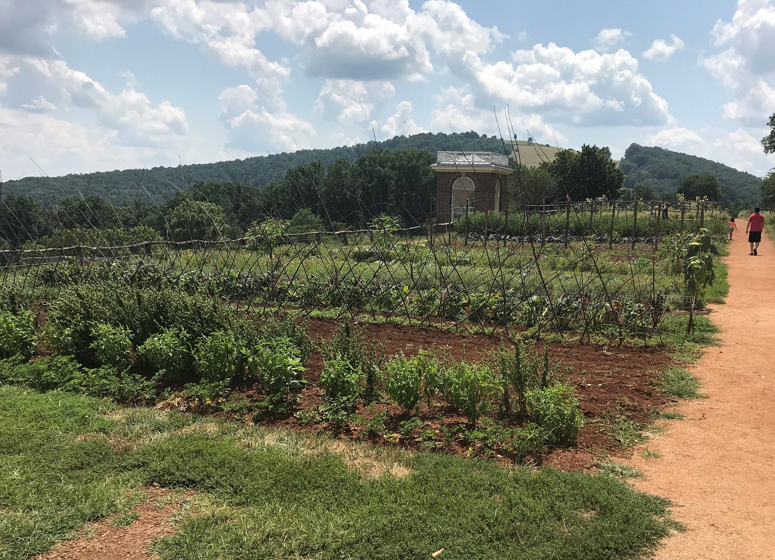 Monticello shows Jefferson's genius and interests