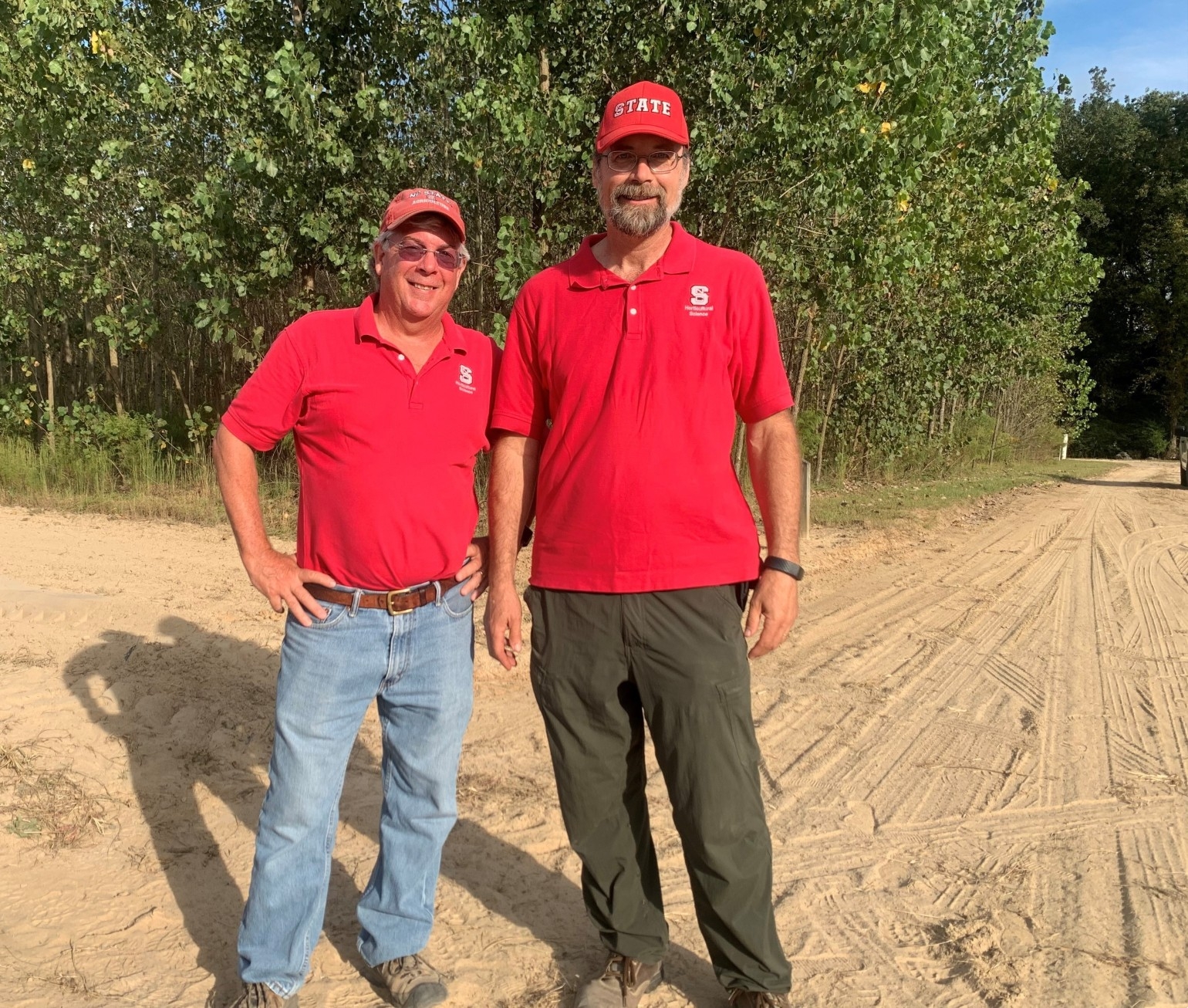 From purples to nematodes, sweet potato breeding grows with demand