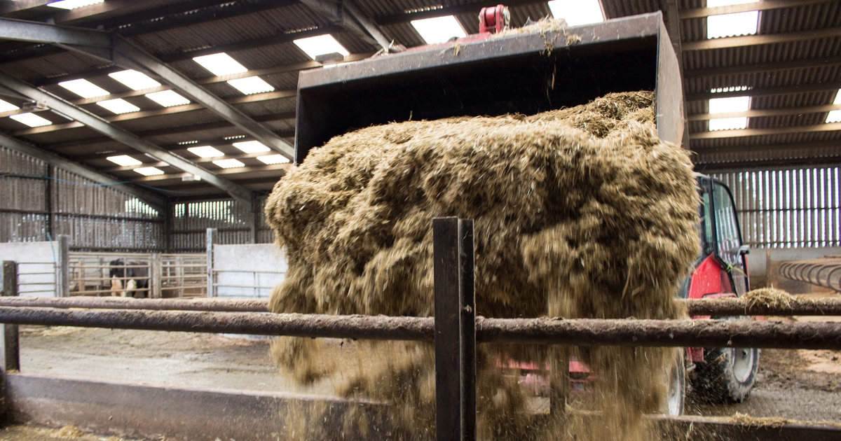 Do emission rules actually help environment?