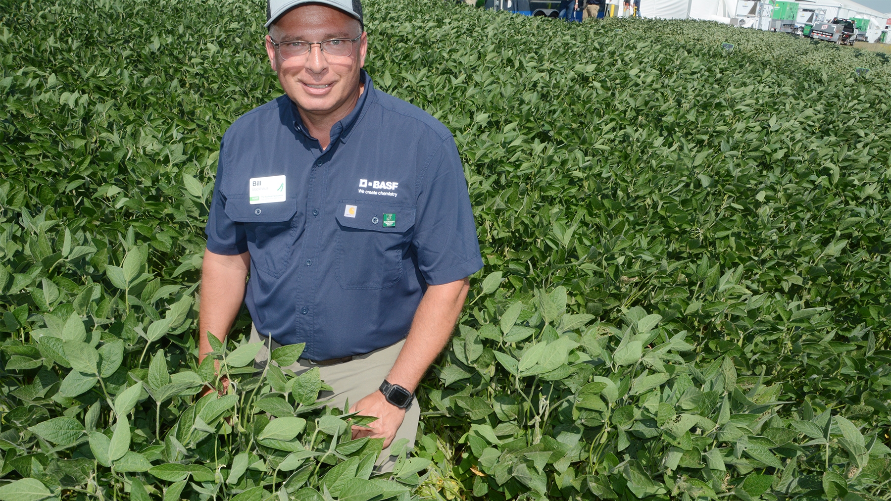 BASF unveils 19 new Xitavo soybean varieties for 2025