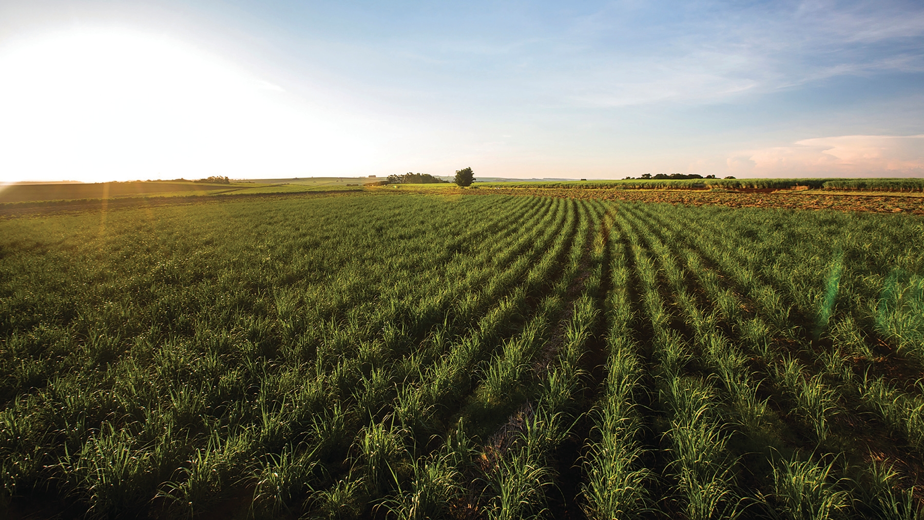Wind Turbine Built at State Fairgrounds
