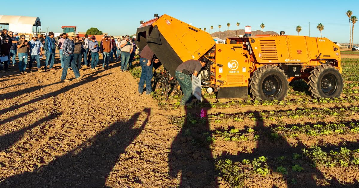Weed removal robots highlight Yuma event