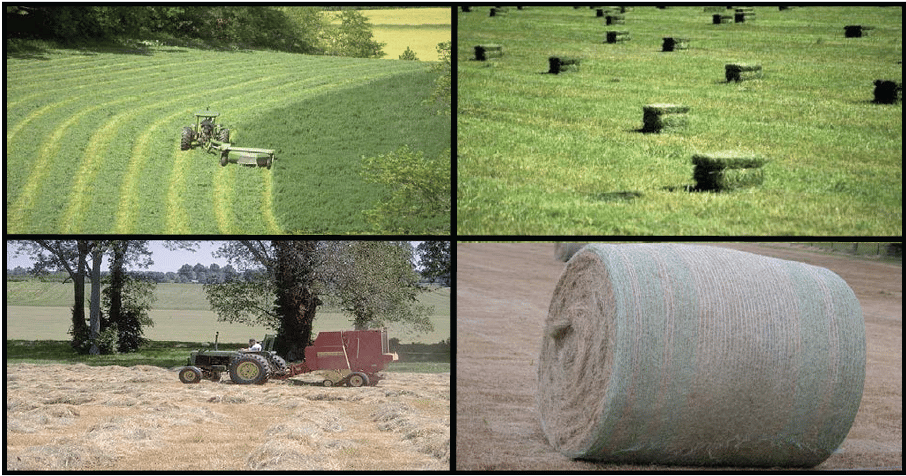 Southeast Hay Contest good way to market high-quality product