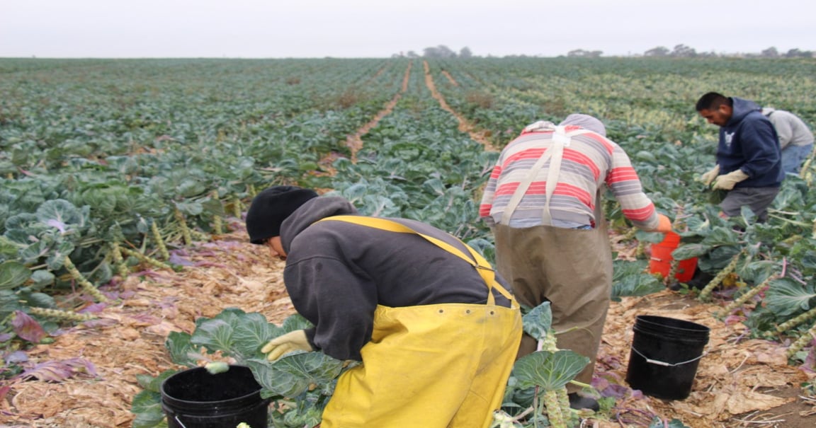 Farmers identify with farm work, employees