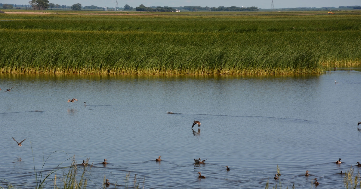 Minnesota watershed management program reaches 90% participation