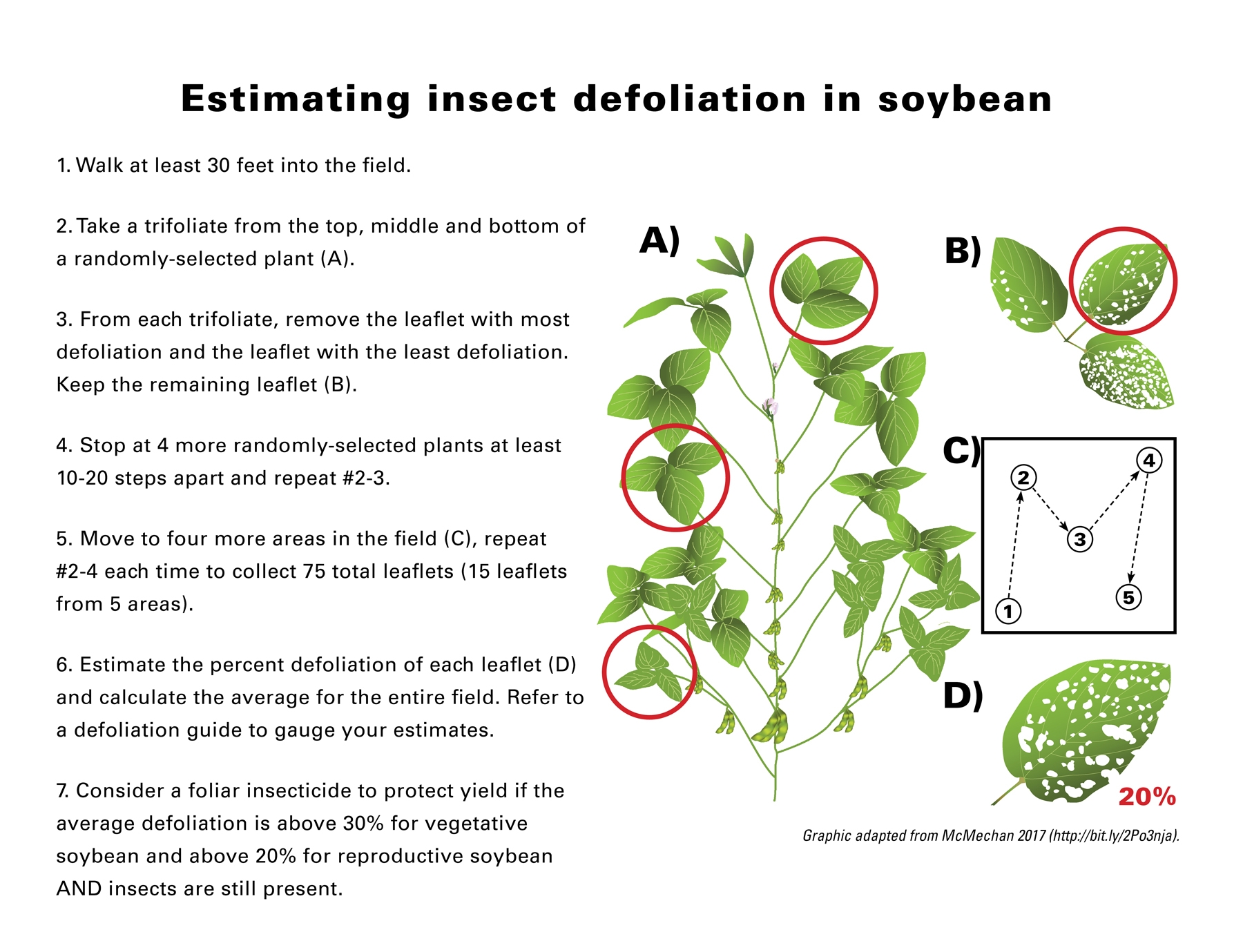 Soybean defoliators are easy to detect