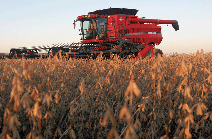 Combine Different Types Of Heads