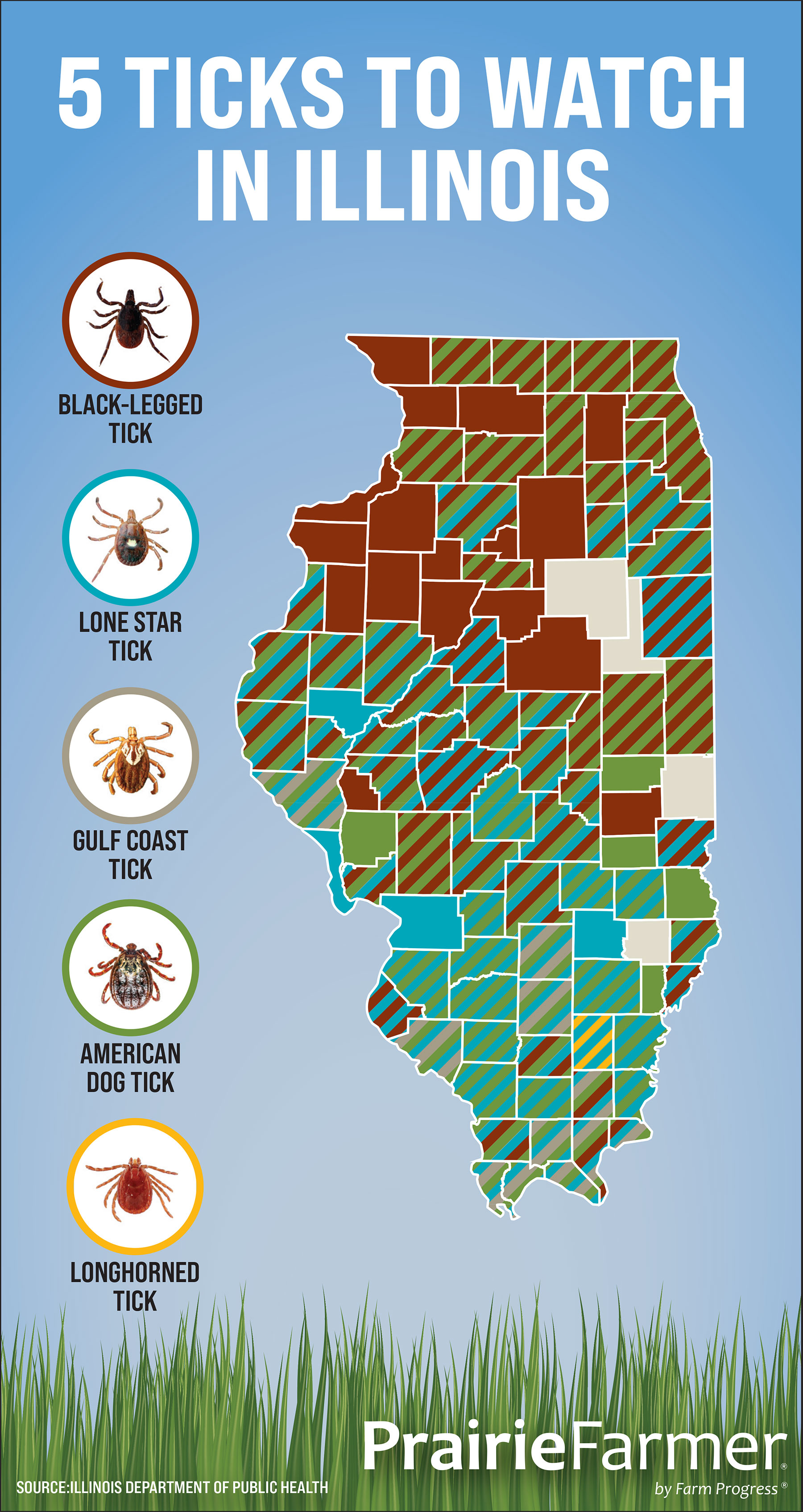 Tick prevention and treatment tips for farmers as summer approaches