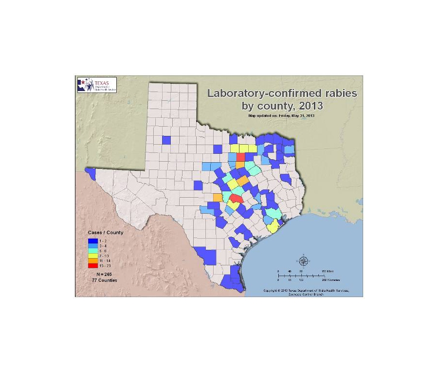 Fox rabies may be back in Central Texas after cow tested positive