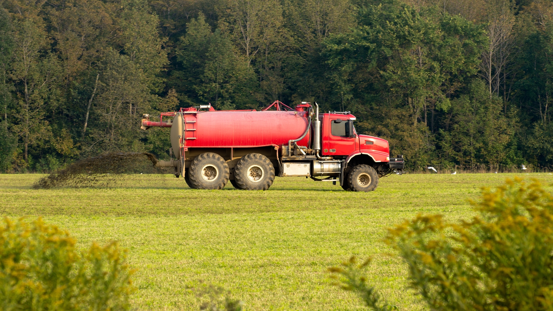 What is manure worth?