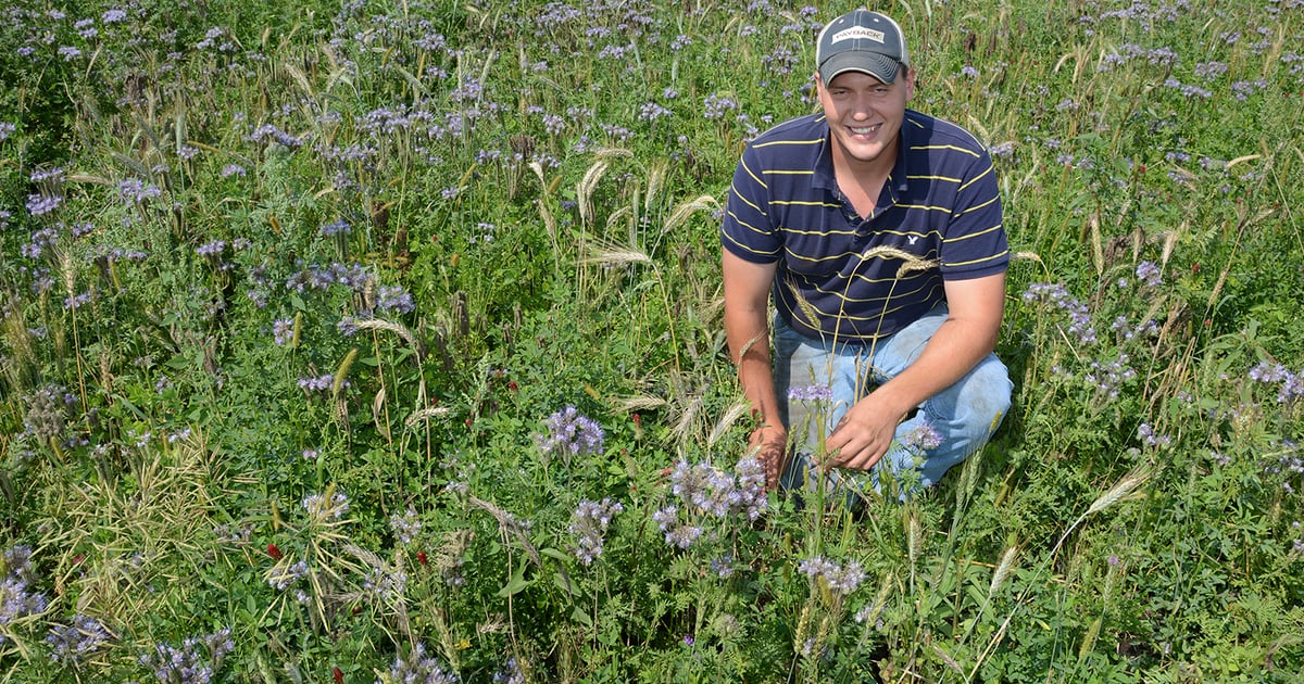 Teaming up for better bees