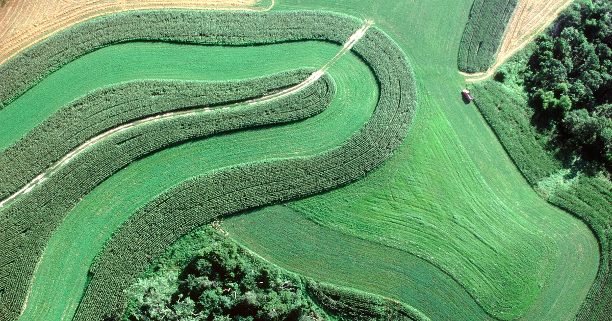 Fall land auction results you need to know