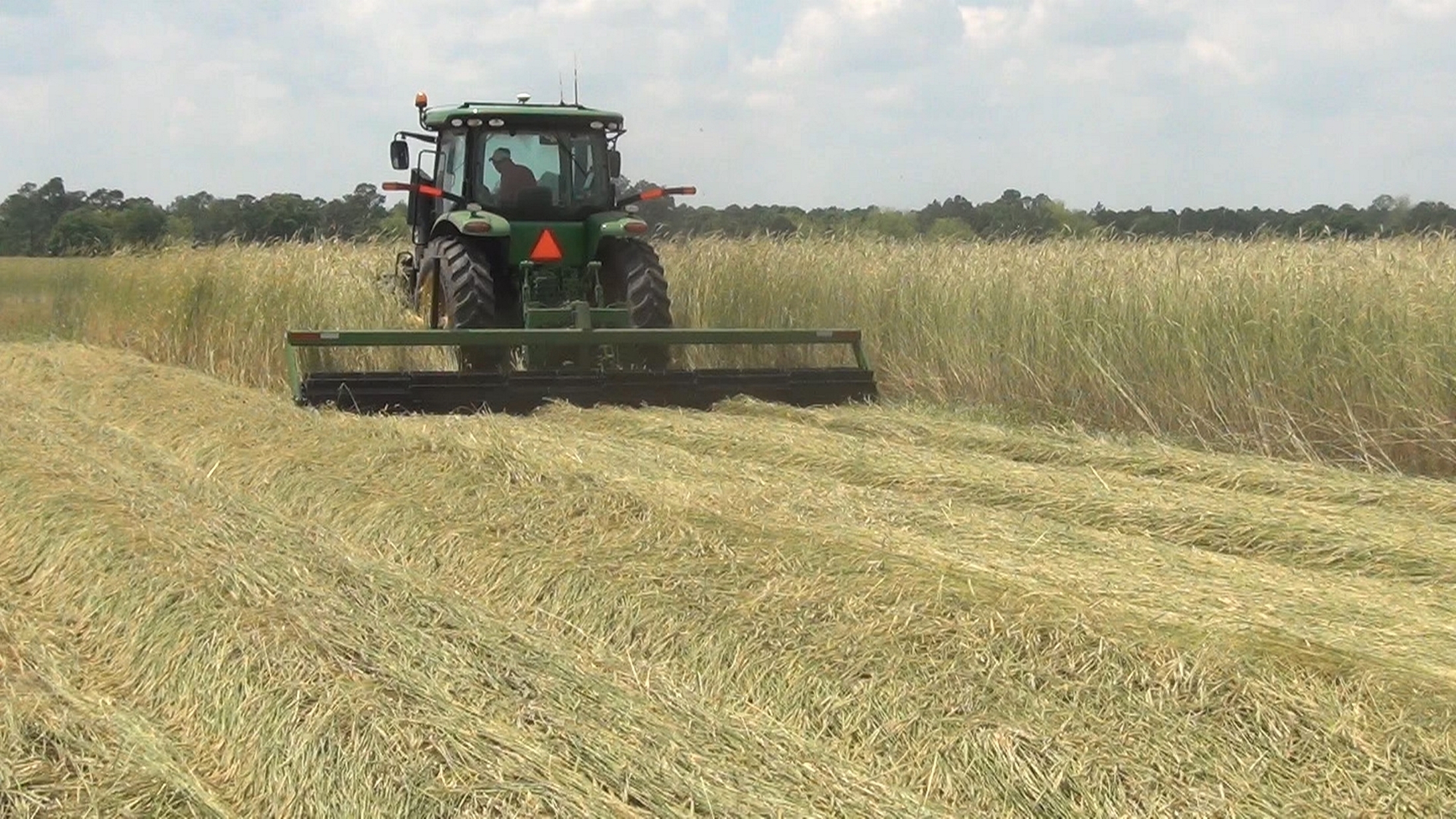Soybean weed control: Crimped cover crop strategy