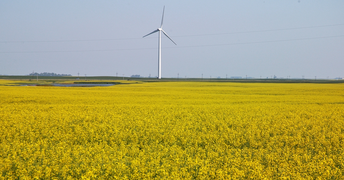 Wind farm supporters and opponents weigh in