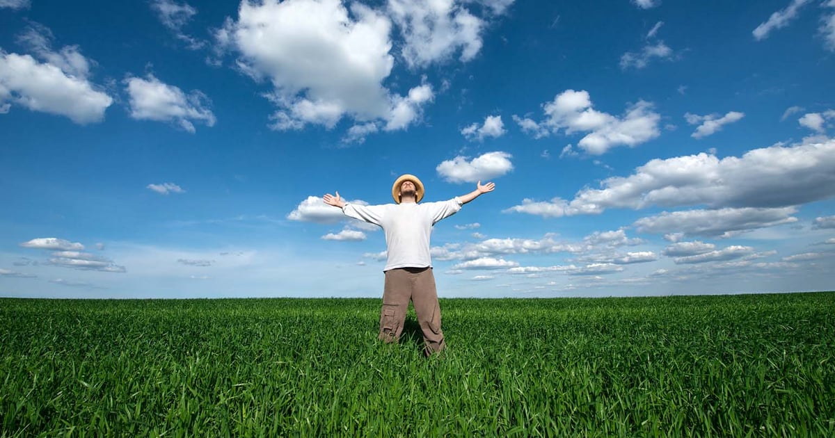 Tips for planning a successful field day