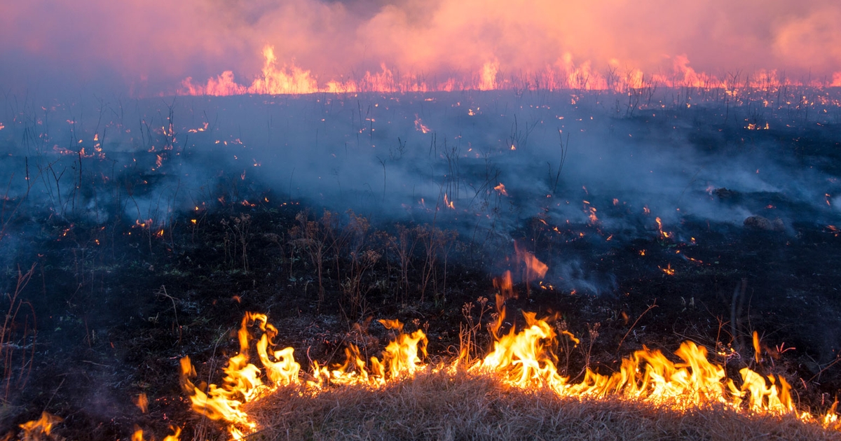 Finding transformation in prairie fire destruction